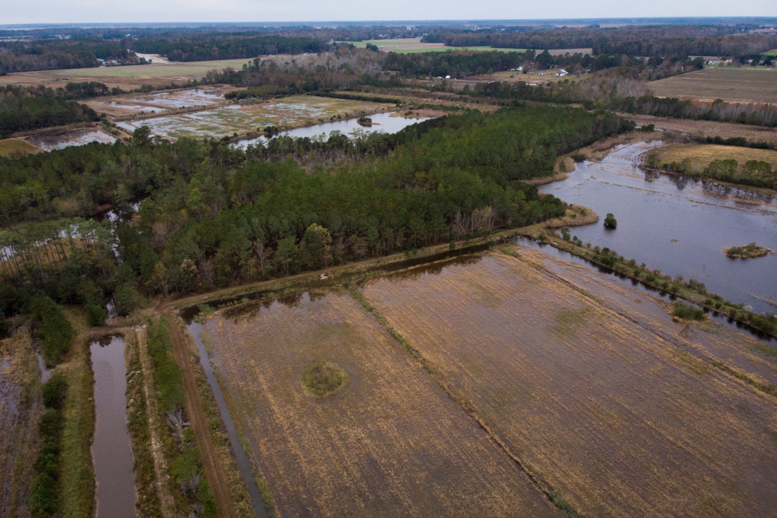 Princess Anne | Virginia DWR