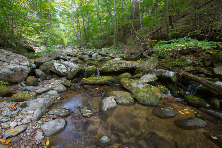 Rapidan | Virginia DWR