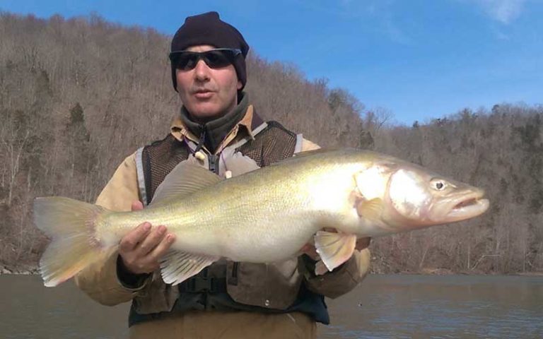 DWR Biologist Earns SEAFWA Fisheries Biologist of the Year Award ...
