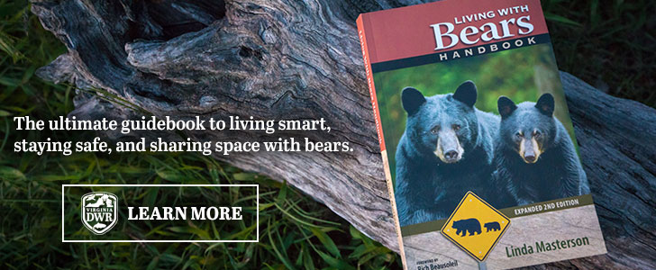 Avoid Your Dog Encountering a Bear at Home and While Recreating ...