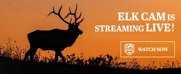 2022 Virginia Deer Season Forecast | Virginia DWR