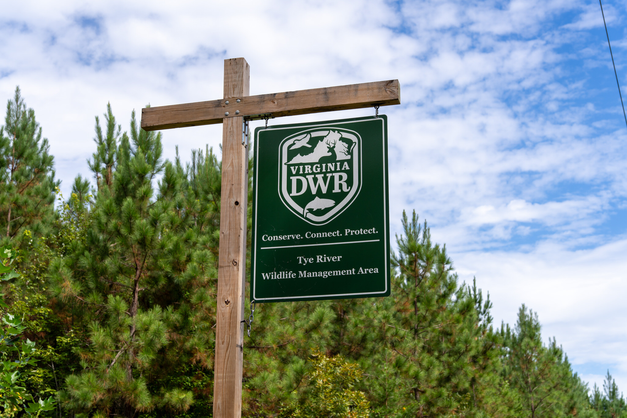 Tye River | Virginia DWR