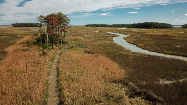 Ragged Island | Virginia DWR