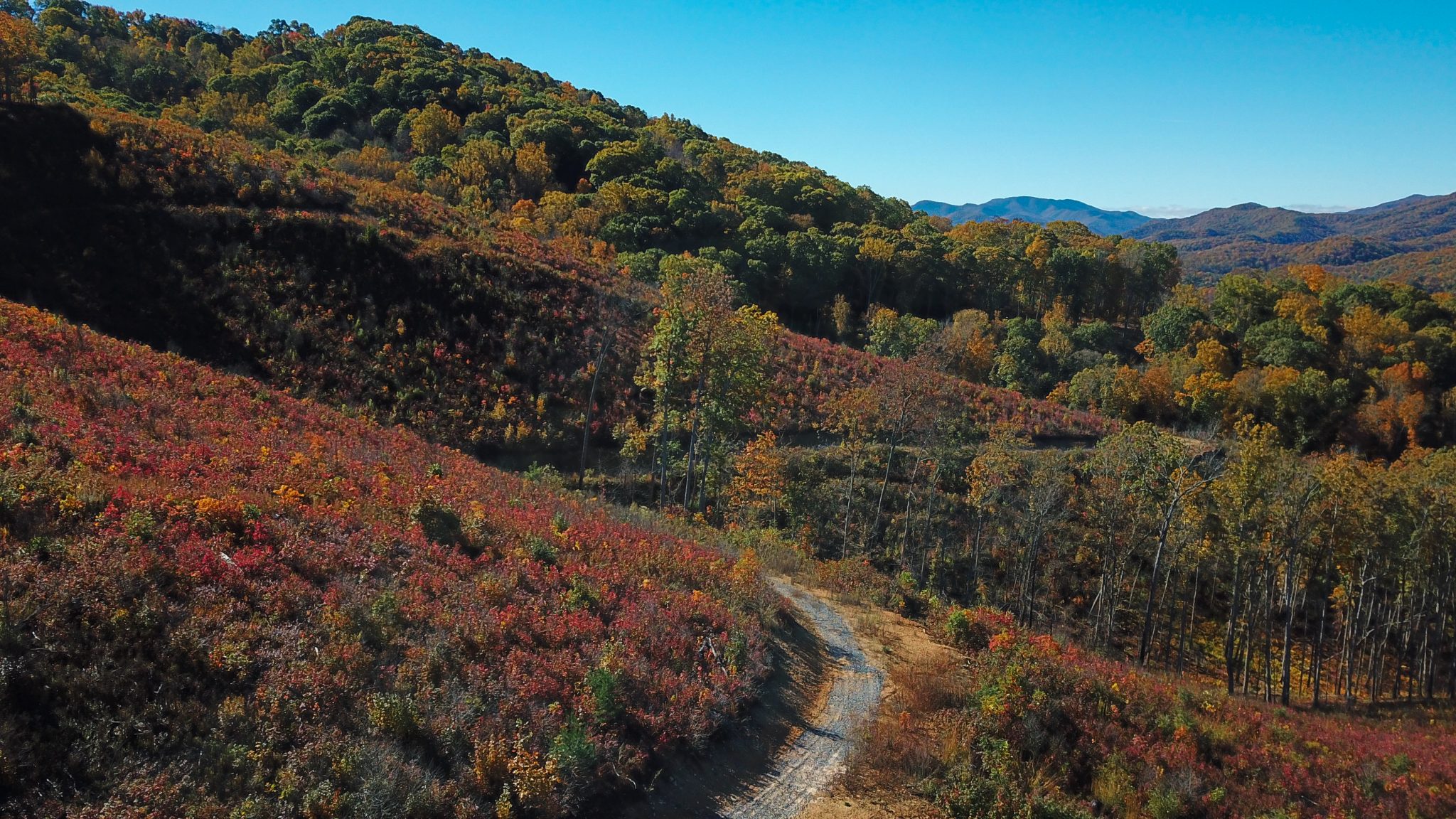 Gathright | Virginia DWR