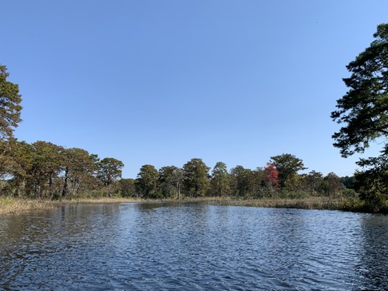 2025 Virginia Tidal Rivers Fishing Forecast | Virginia DWR