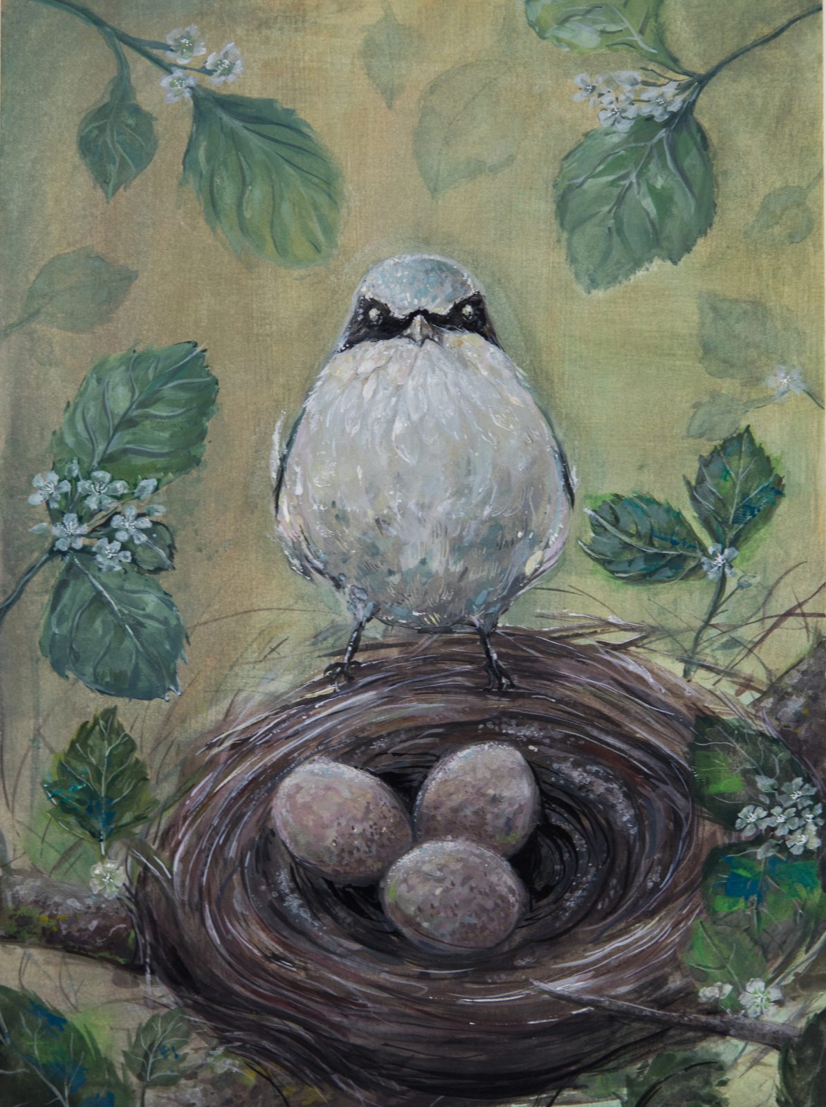 2022 Restore the Wild Artwork Competition Winners Chosen | Virginia DWR