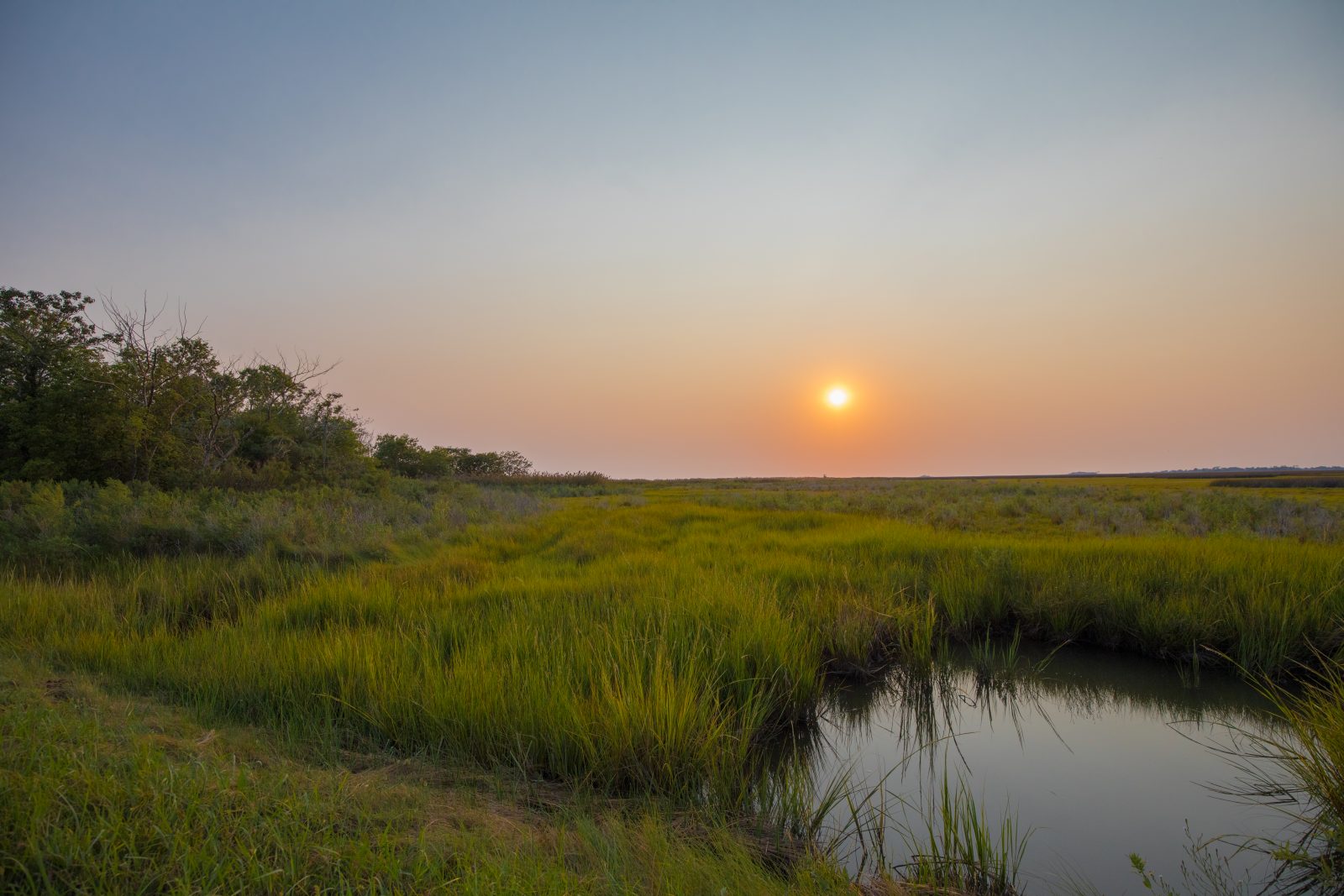 Saxis | Virginia DWR