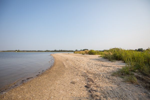 Saxis | Virginia DWR