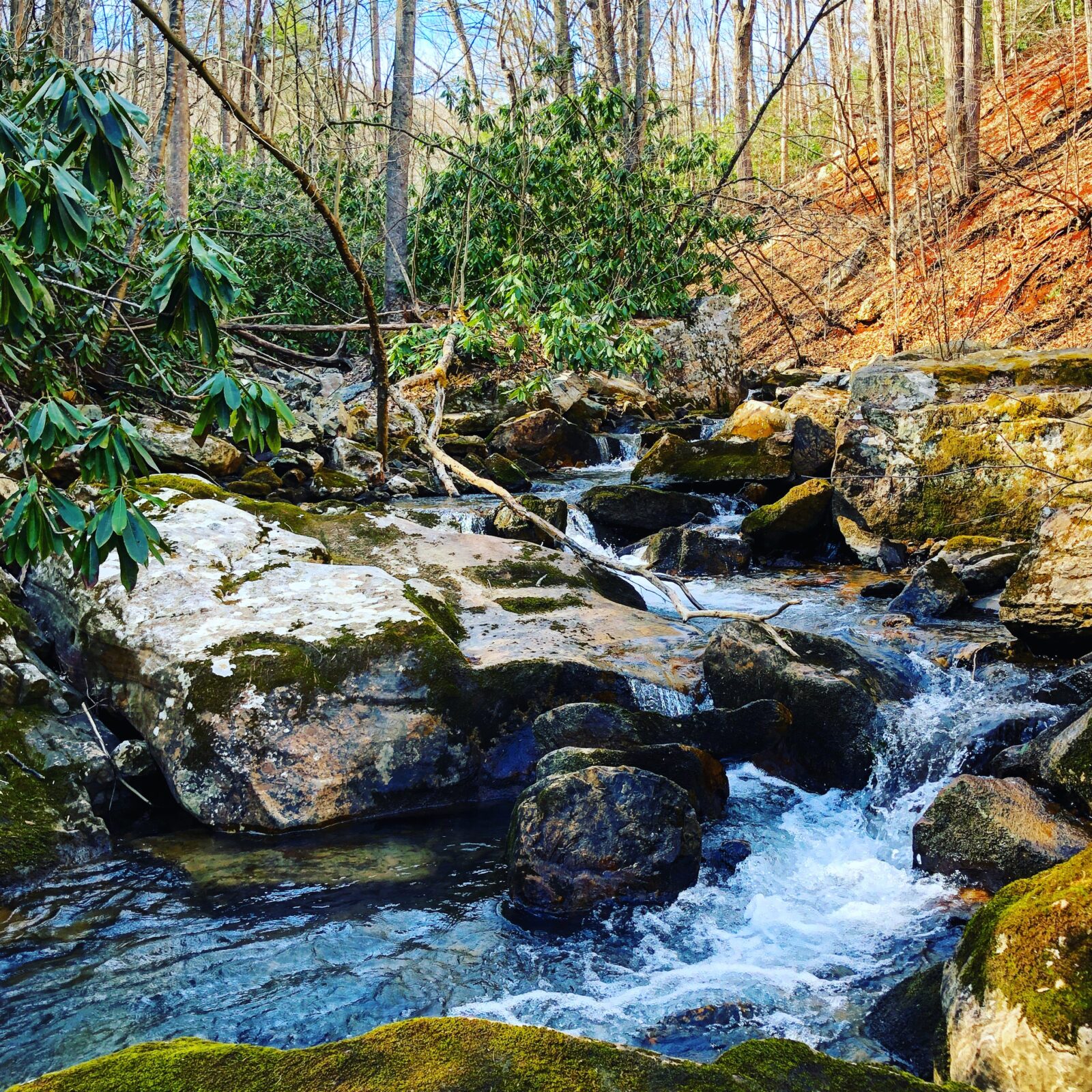 Fishing Virginia’s Wild Brook Trout | Virginia DWR