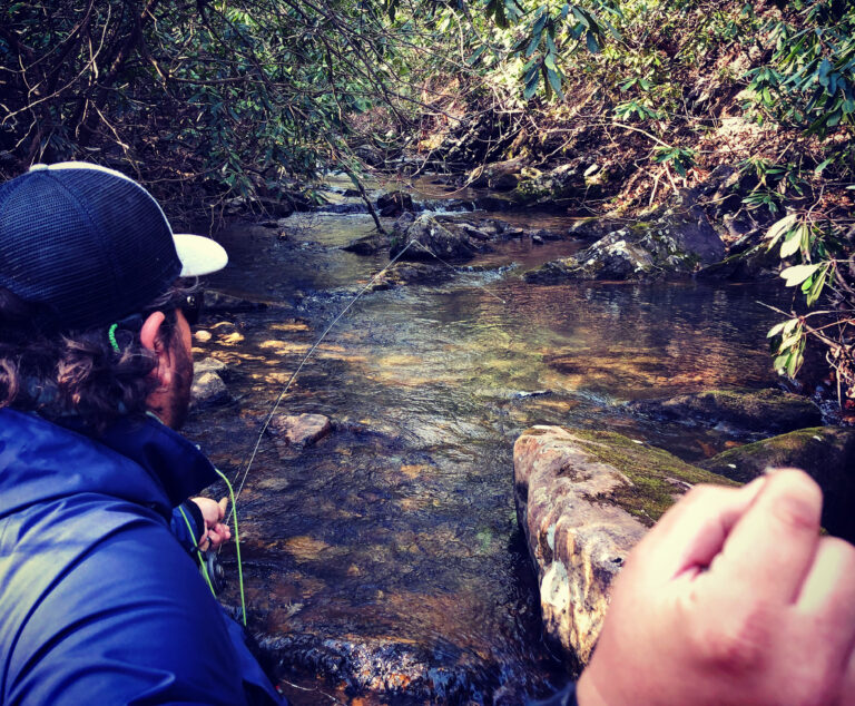 Fishing Virginia’s Wild Brook Trout | Virginia DWR