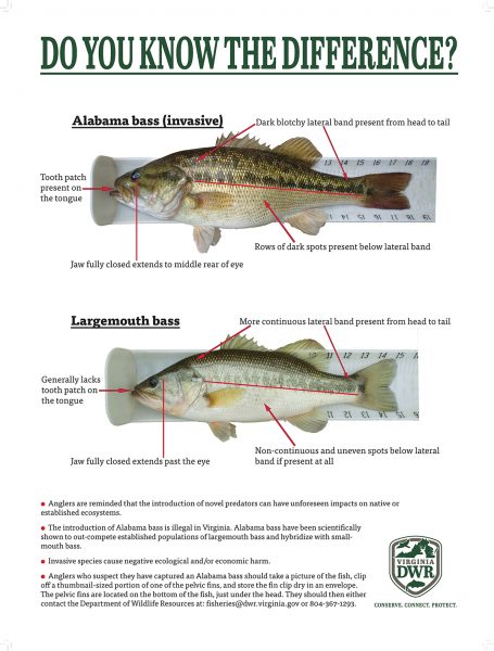 New Regulations, An Essential Partnership, and Call to Action Aim to ...