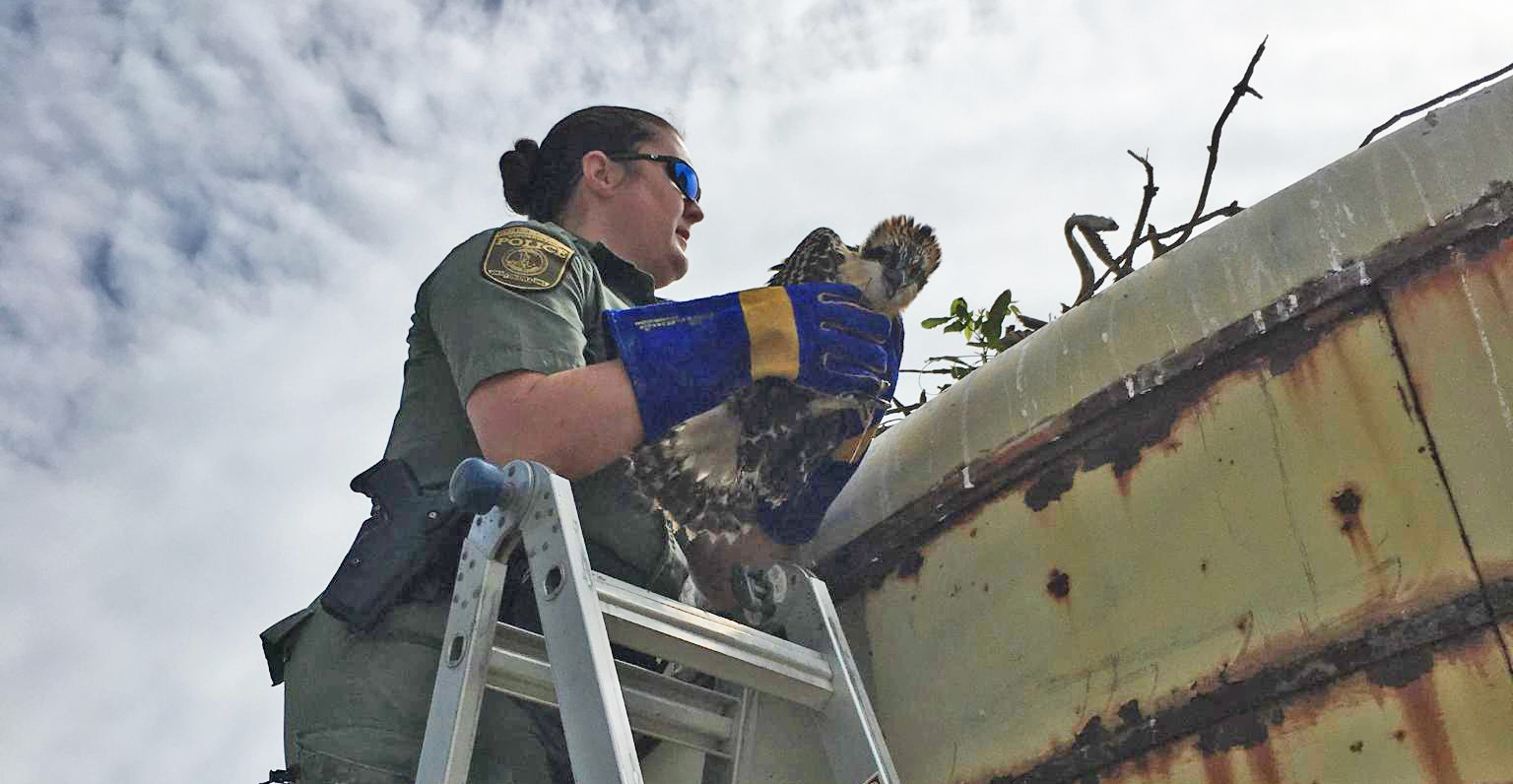 CPO Spotlight: Meet Officer Amanda Nevel | Virginia DWR