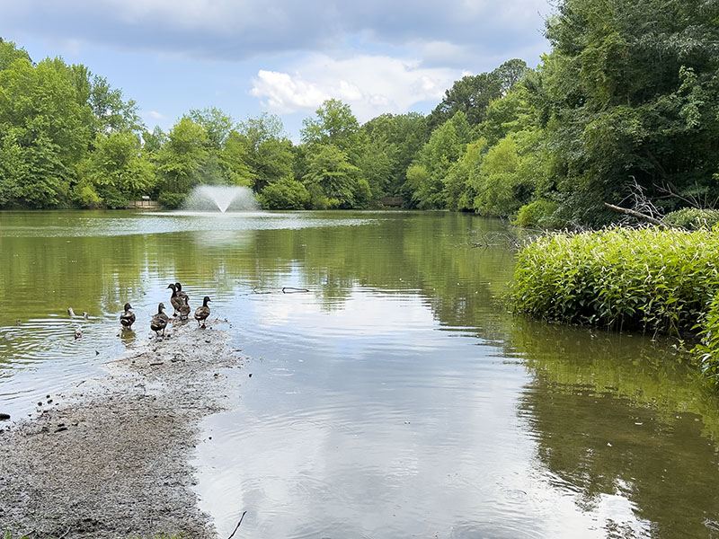Deep Run Park | Virginia DWR