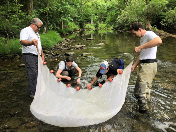 Making a Difference for the Big Sandy Crayfish | Virginia DWR