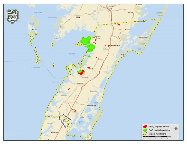 DWR’s Eastern Shore Forest Conservation Initiative to Benefit Wildlife ...