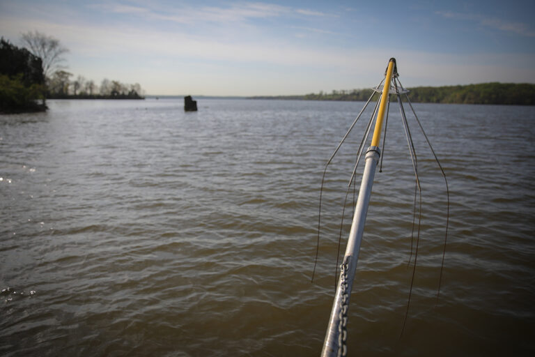 Not Too Shocking: Your Electrofishing Questions Answered | Virginia DWR