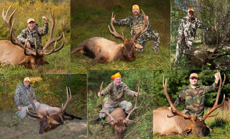 Six Hunters Successful in the Inaugural Elk Hunt in the Elk Management ...