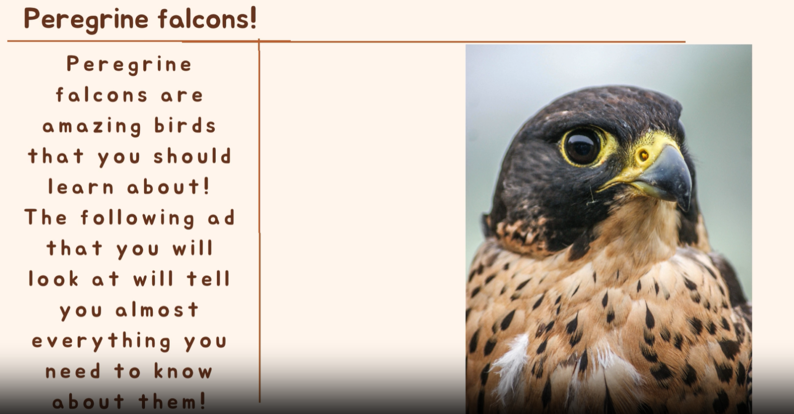 Falcon Cam Educational Resources | Virginia DWR