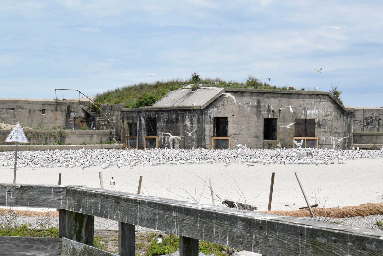 Conversion of Rip Raps Island | Virginia DWR