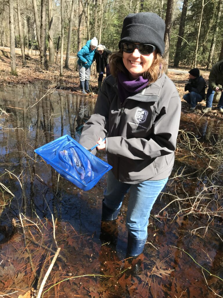 Seen a Salamander? Vernal Pools are Unique Habitats | Virginia DWR