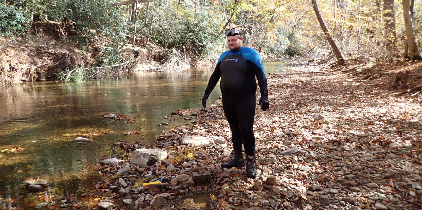 Hurricane Helene Took a Toll on Virginia’s Eastern Hellbender ...