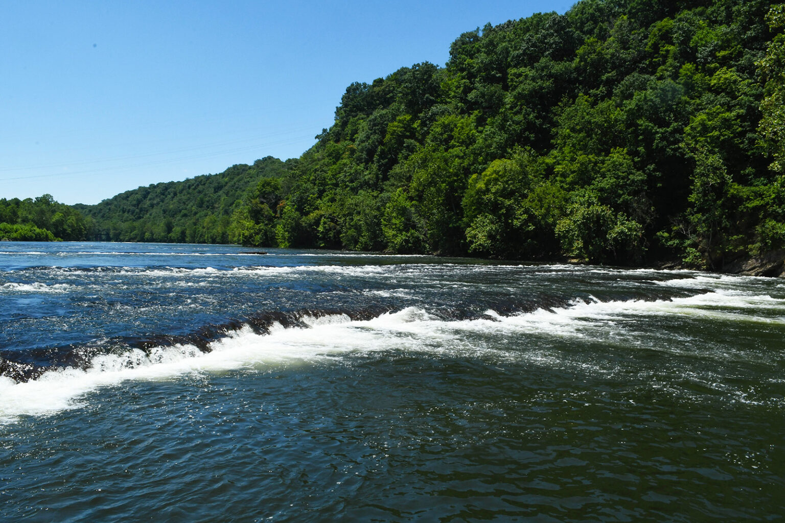 Explore the Wild on the Lower New River from Whitethorne Boat Ramp ...
