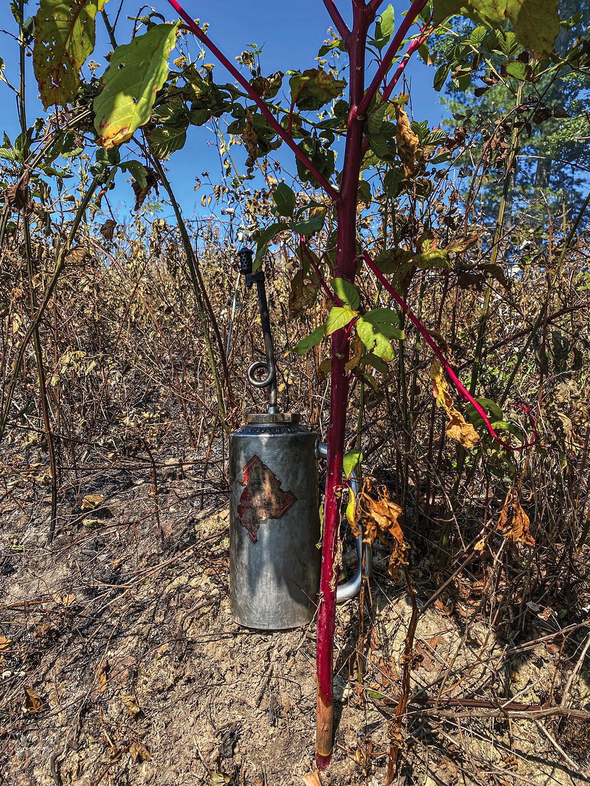 Prescribed Fire: Why and How We Use It on Our Private Property ...