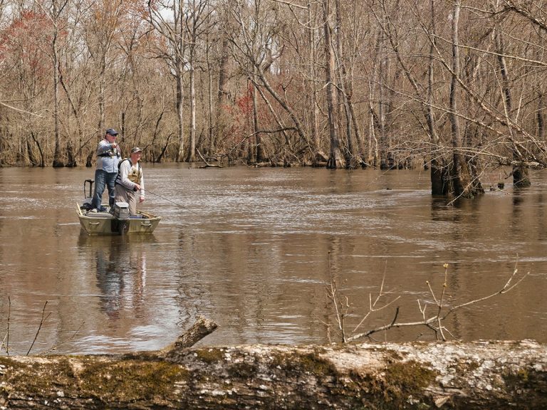 Exploring the Nottoway River from Hercules Landing | Virginia DWR