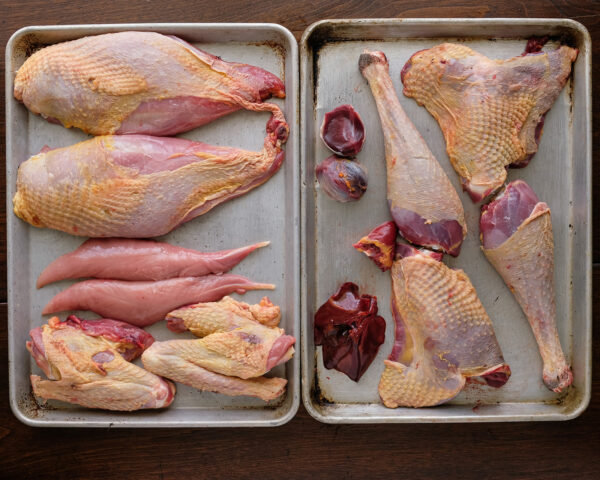 You’ve Harvested Your First Wild Turkey… Now What? | Virginia DWR