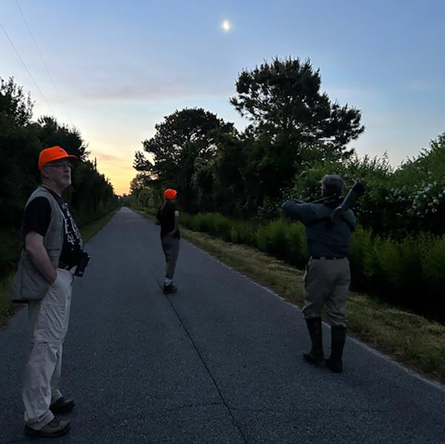 Make a Plan for the Virginia Birding Classic! | Virginia DWR