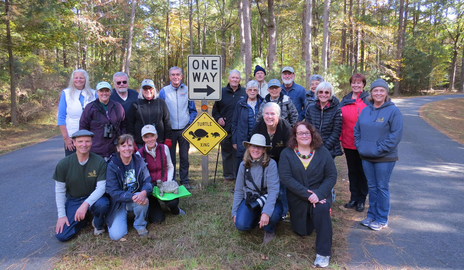 Protecting Turtles on Jamestown Island and Near You | Virginia DWR