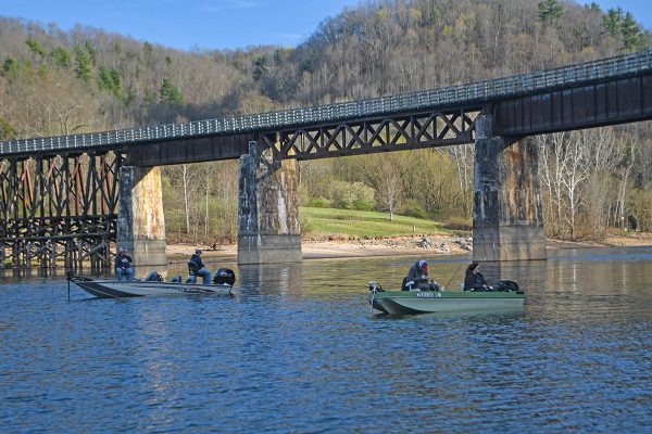 Exploring the Head of South Holston Lake from Whitaker Hollow Boat Ramp ...