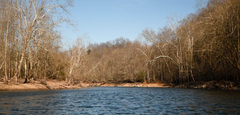 Exploring the Head of South Holston Lake from Whitaker Hollow Boat Ramp ...