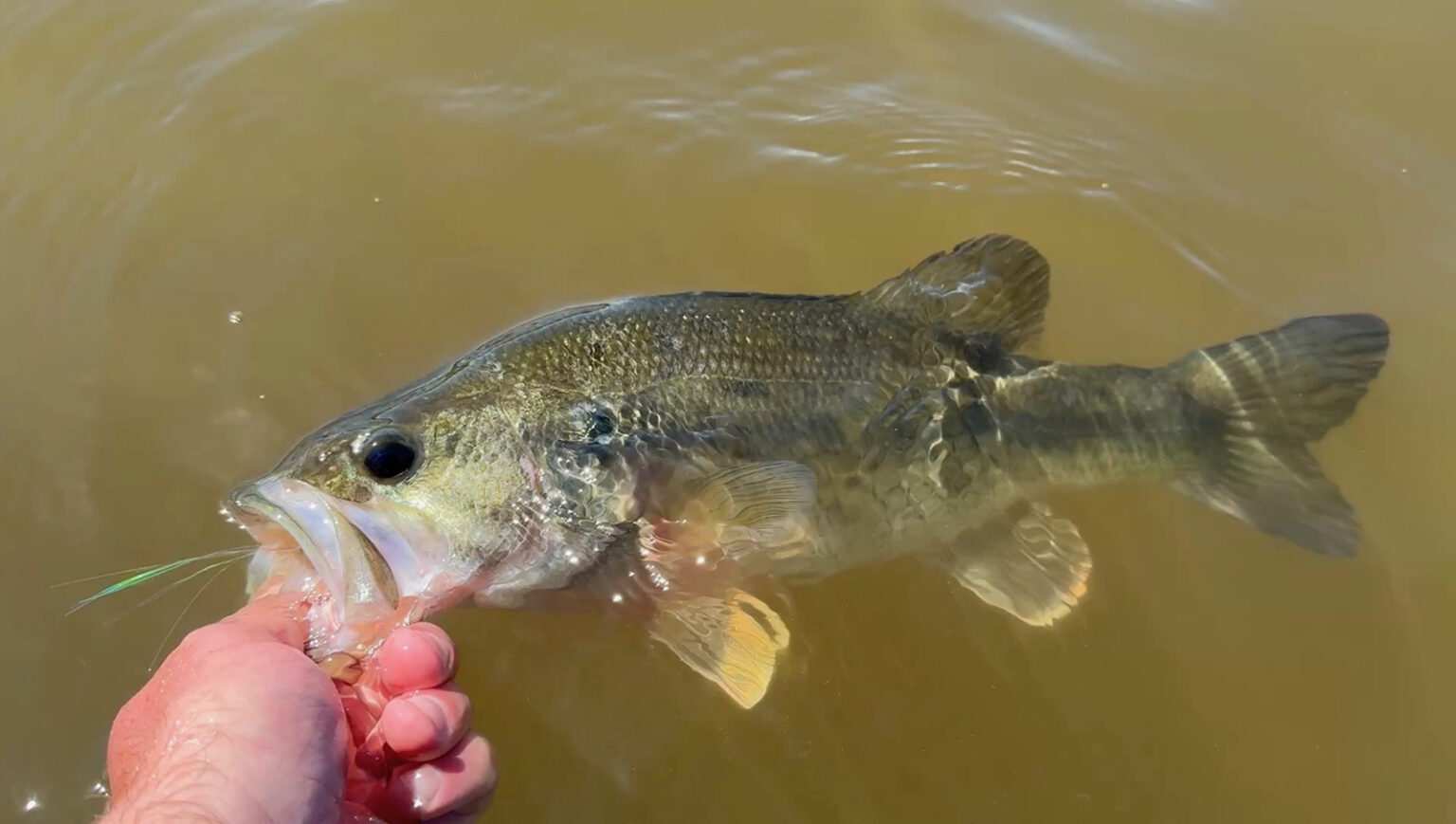 Exploring the Tidal James River: Access Points and Fishing ...