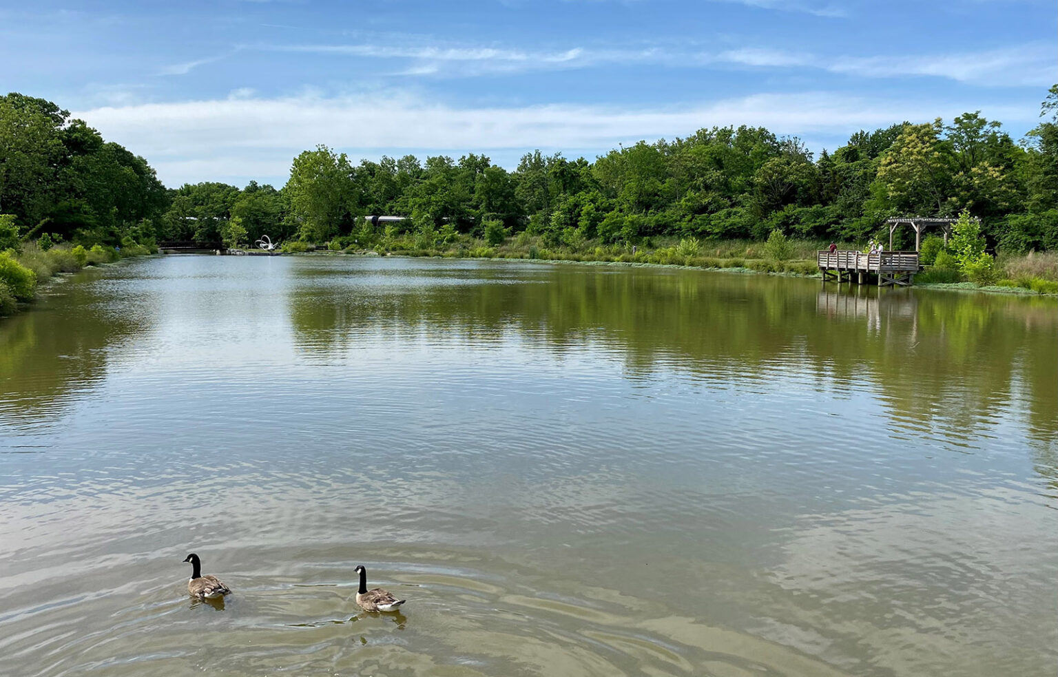Five Great Places in Northern Virginia to Fish After Work | Virginia DWR