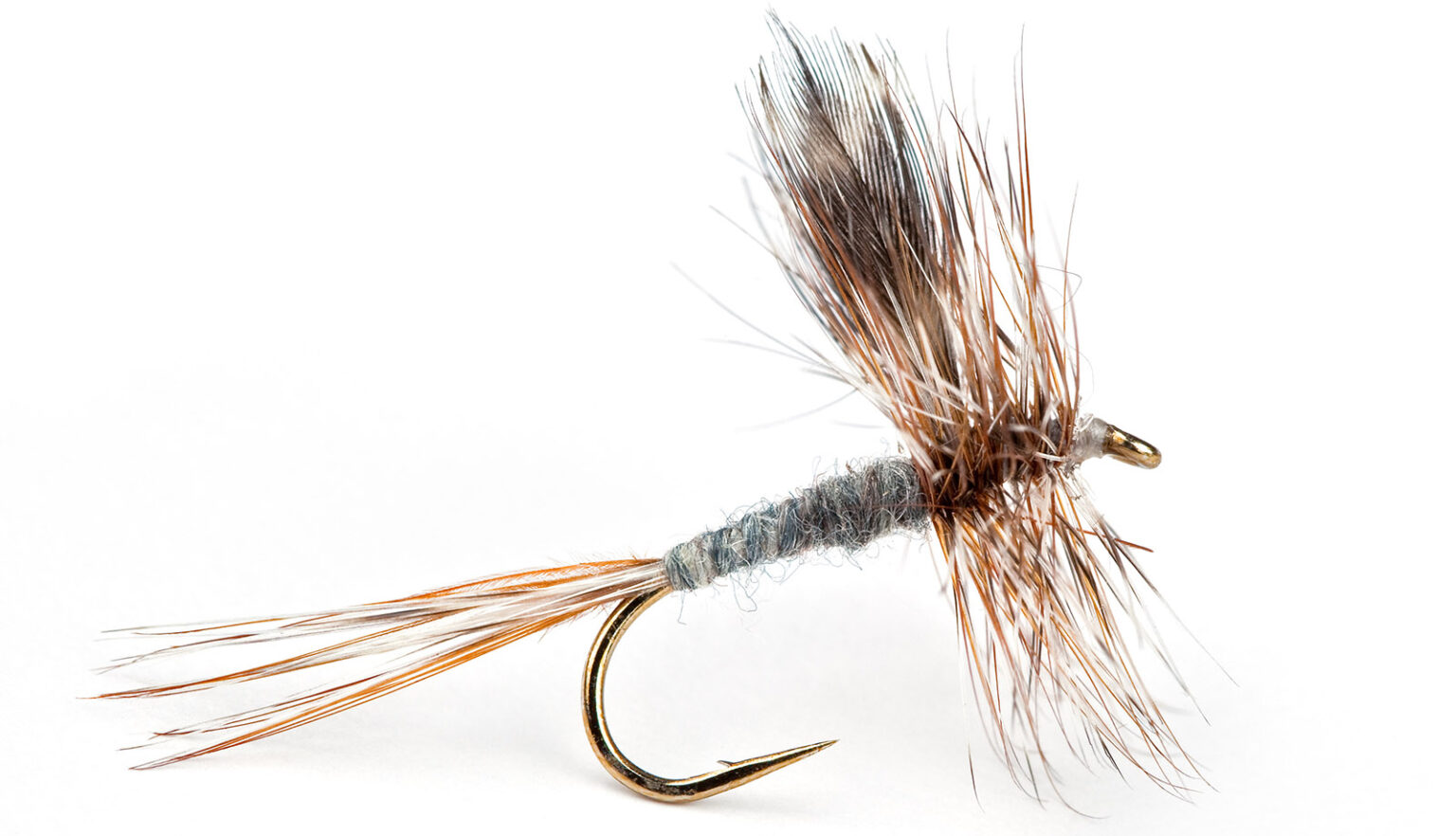 Three Flies for Summer Trout | Virginia DWR