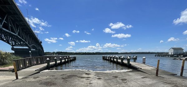 Exploring the Wild from Gloucester Point Park | Virginia DWR