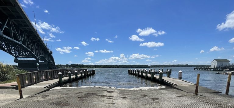Exploring the Wild from Gloucester Point Park | Virginia DWR