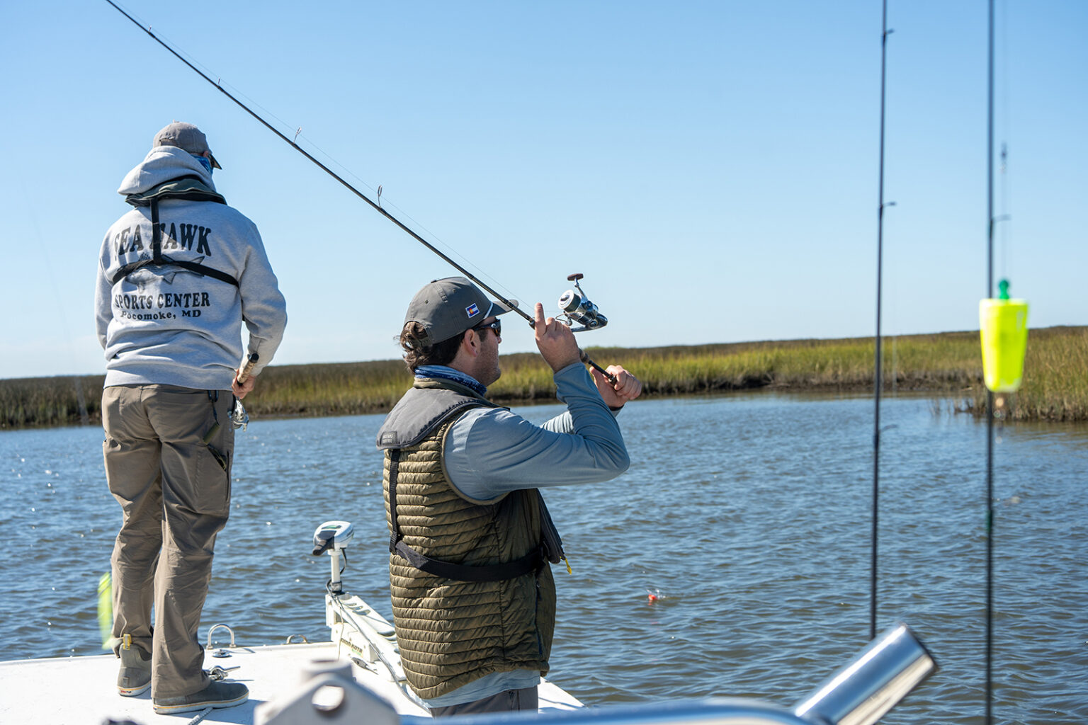 Explore the Tidal Marsh Wild at Saxis WMA | Virginia DWR