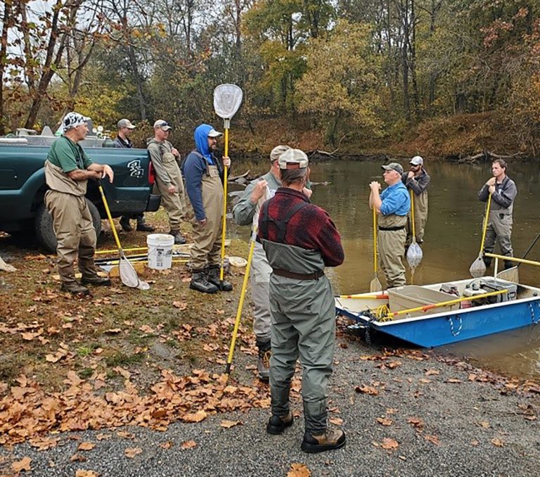 Smith River Sampling Seeks Out Native, Non-Game Fish and Young Brown ...