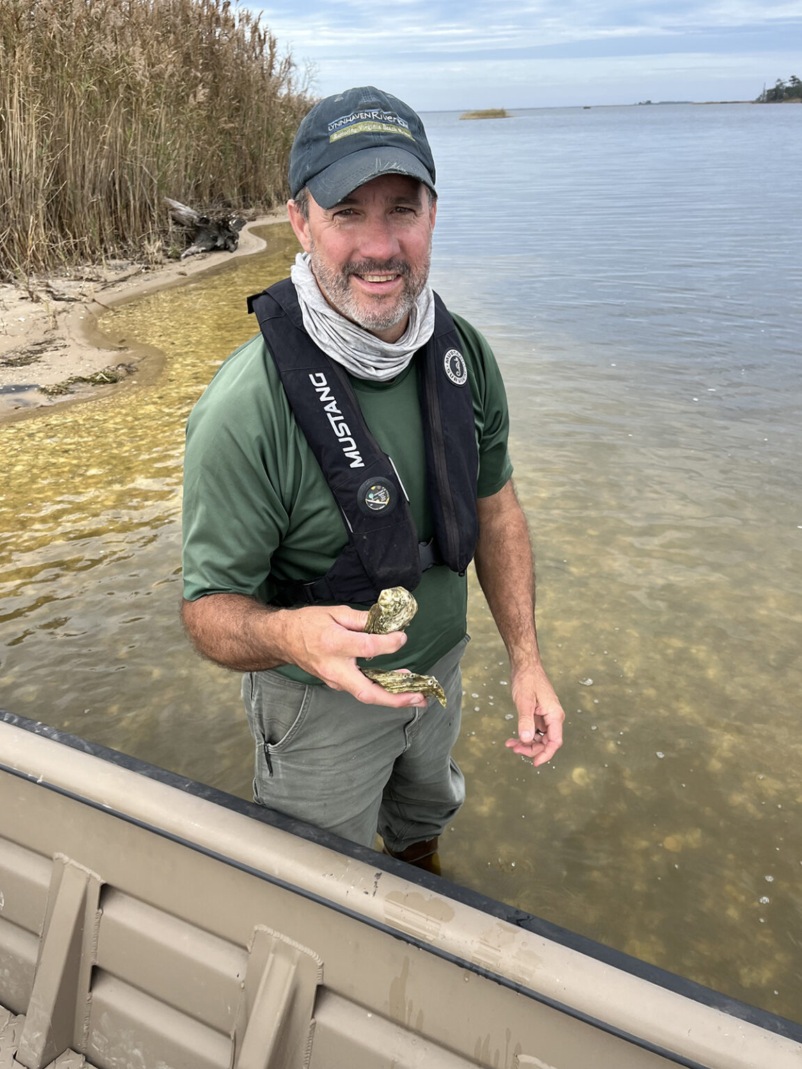 Explore Back Bay’s Rebound from Mill Landing | Virginia DWR