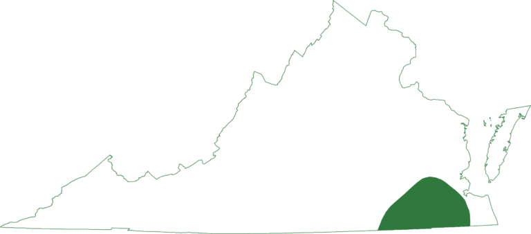 Frog Friday: Oak Toad | Virginia DWR