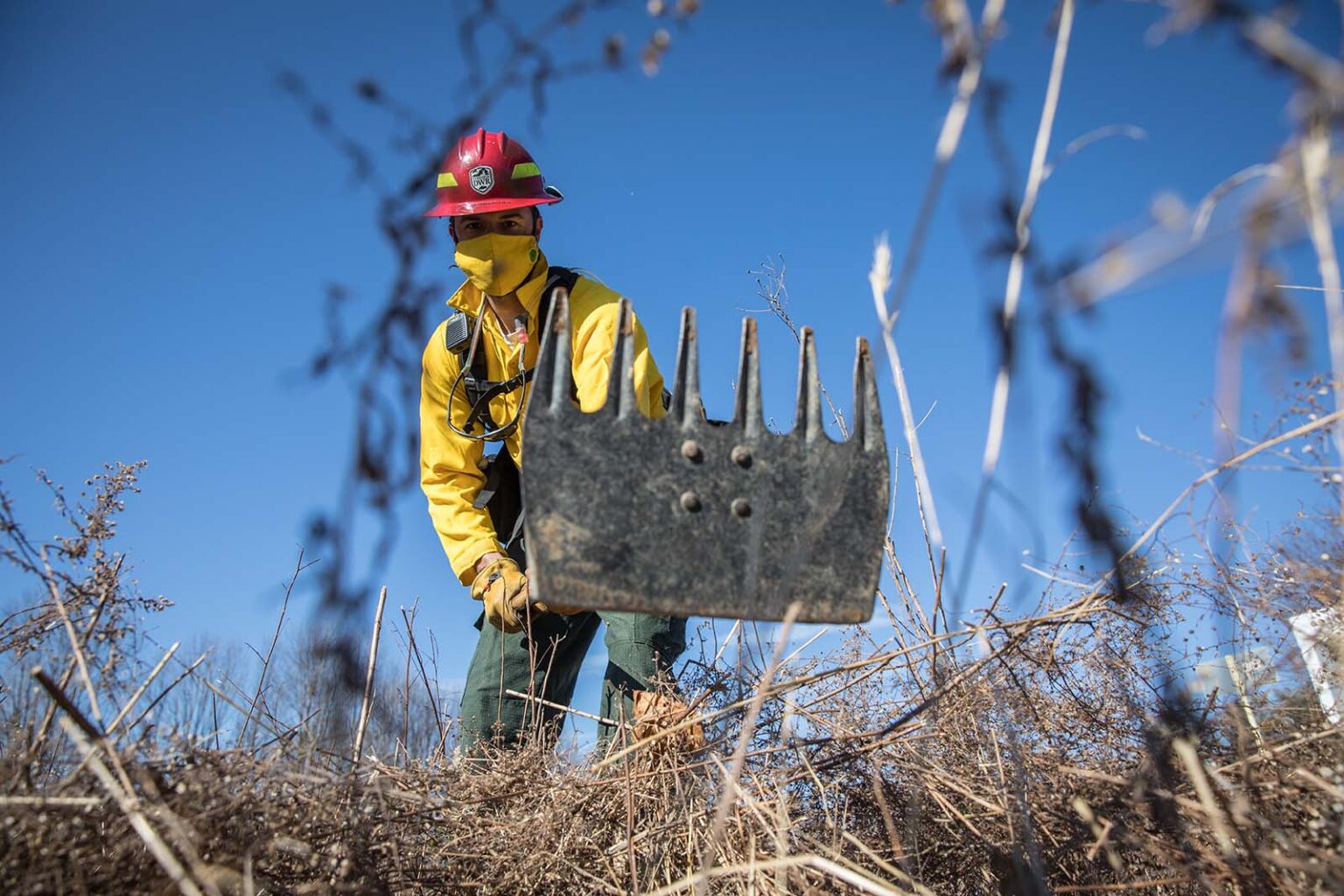 Help Restore the Wild | Virginia DWR