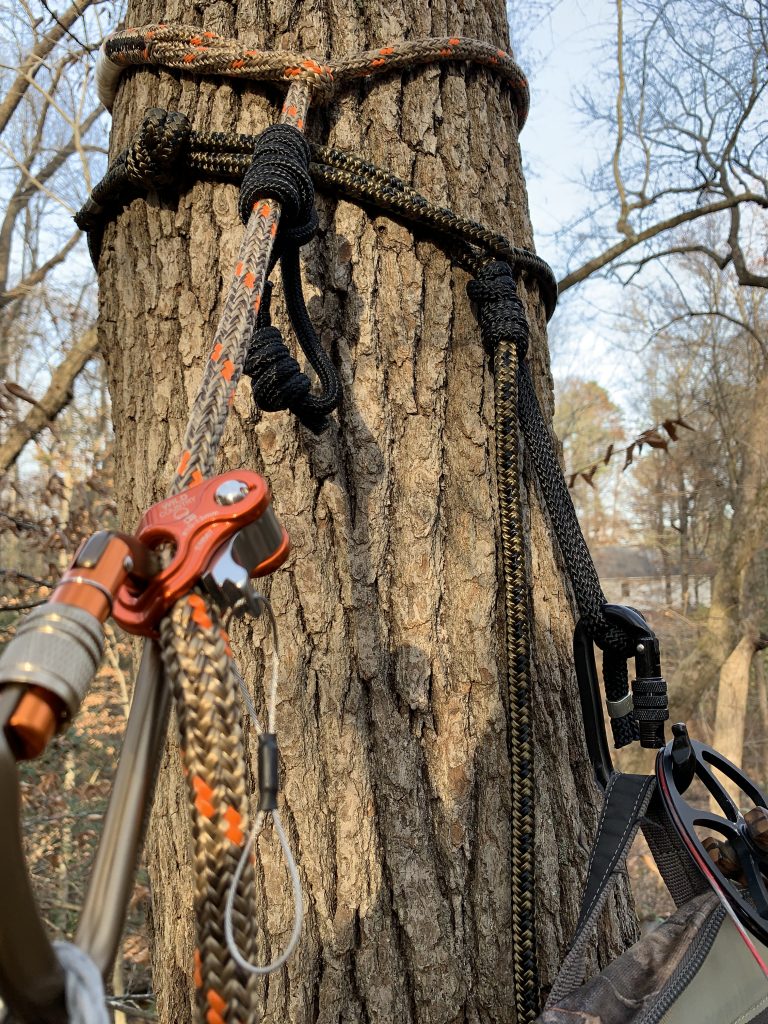 Saddle Up for the Next Deer Season? | Virginia DWR