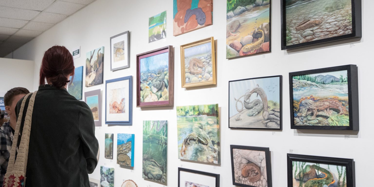 2023 Restore the Wild Artwork Competition Winners Chosen | Virginia DWR