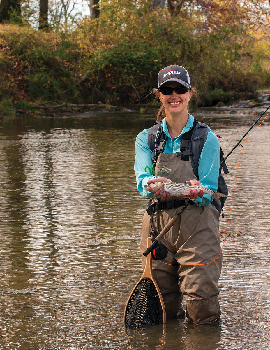 Fallfish: Little Tarpon of the Commonwealth | Virginia DWR