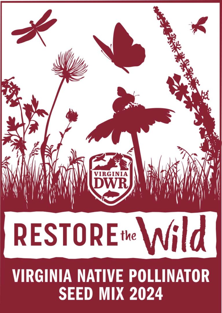 Virginia Native Pollinator Seed Packets | Virginia DWR