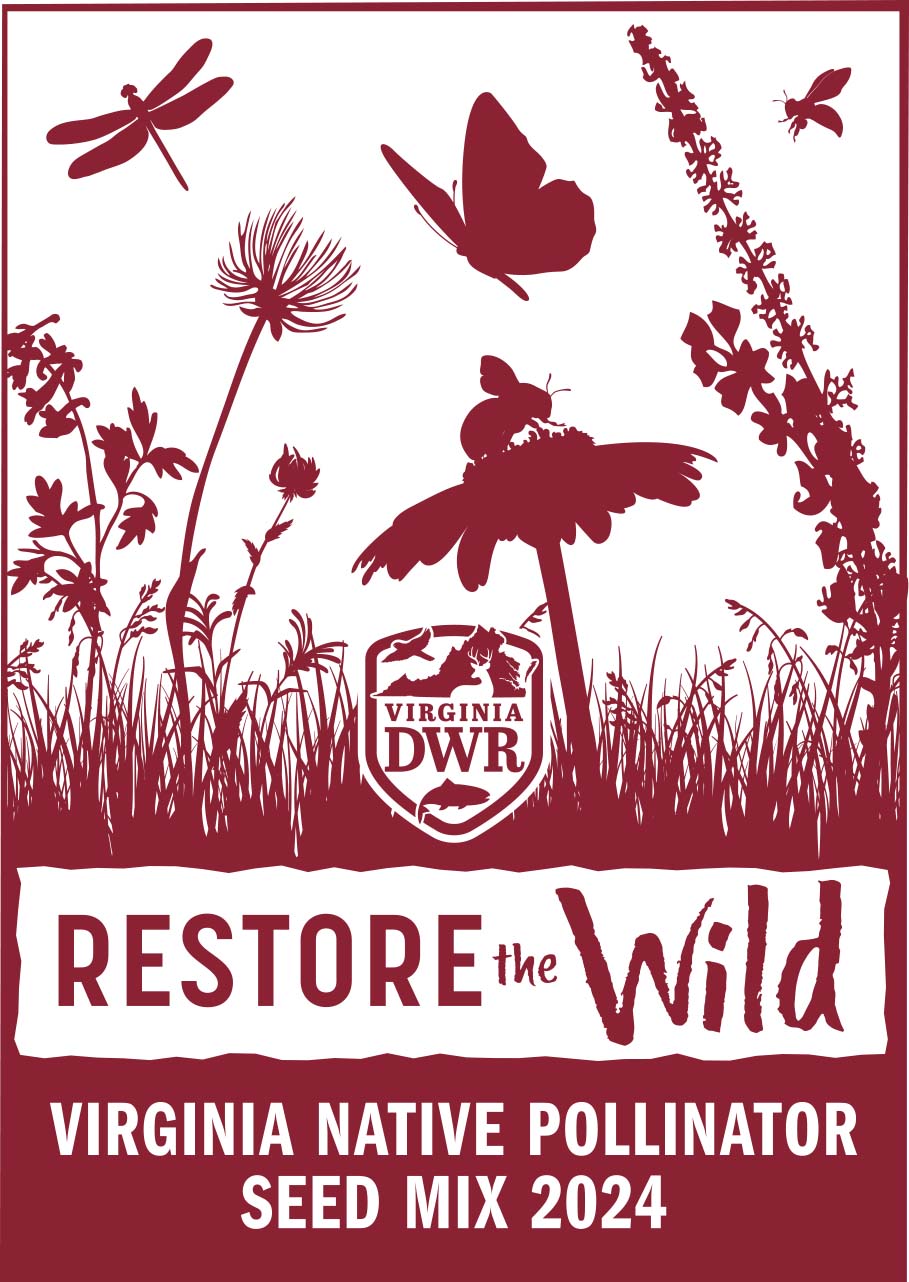 Virginia Native Pollinator Seed Packets | Virginia DWR