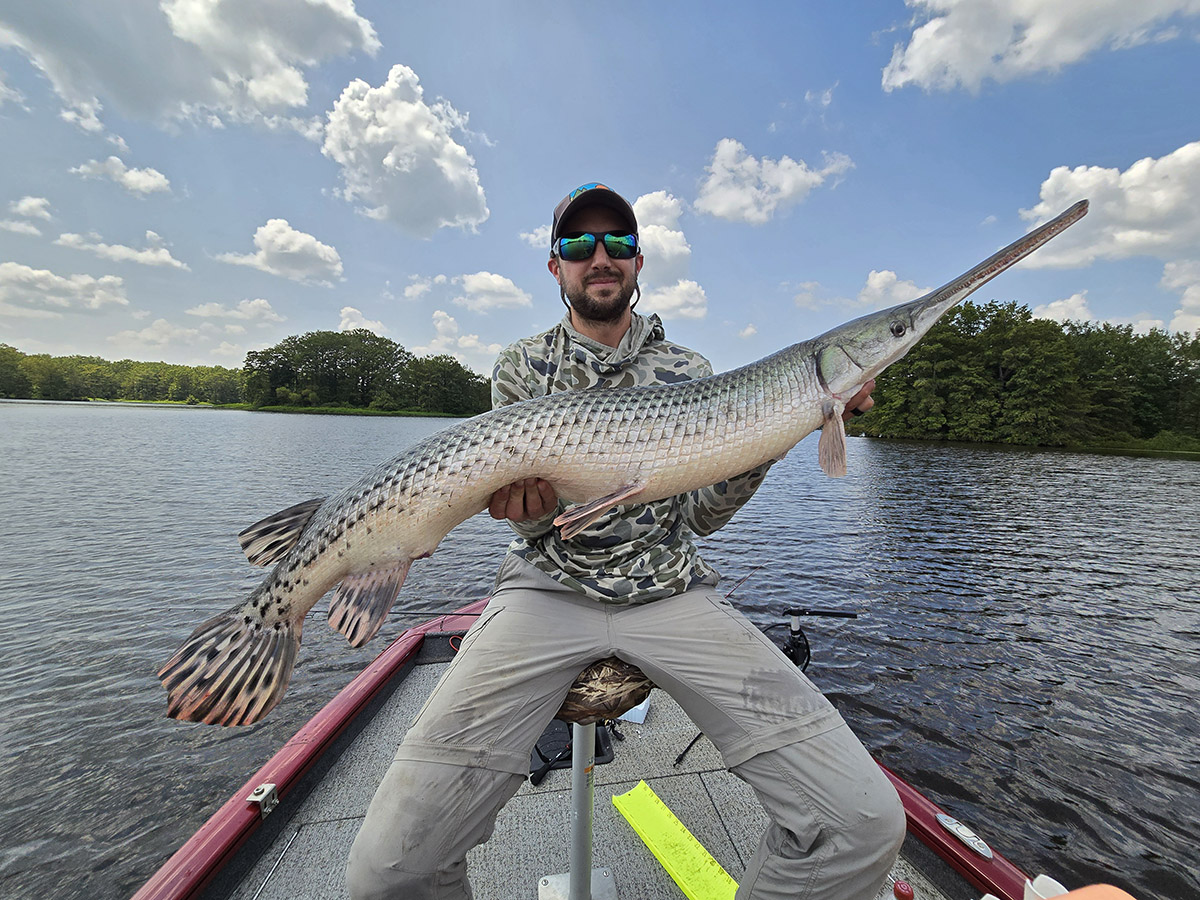 Longnose Gar | Virginia DWR
