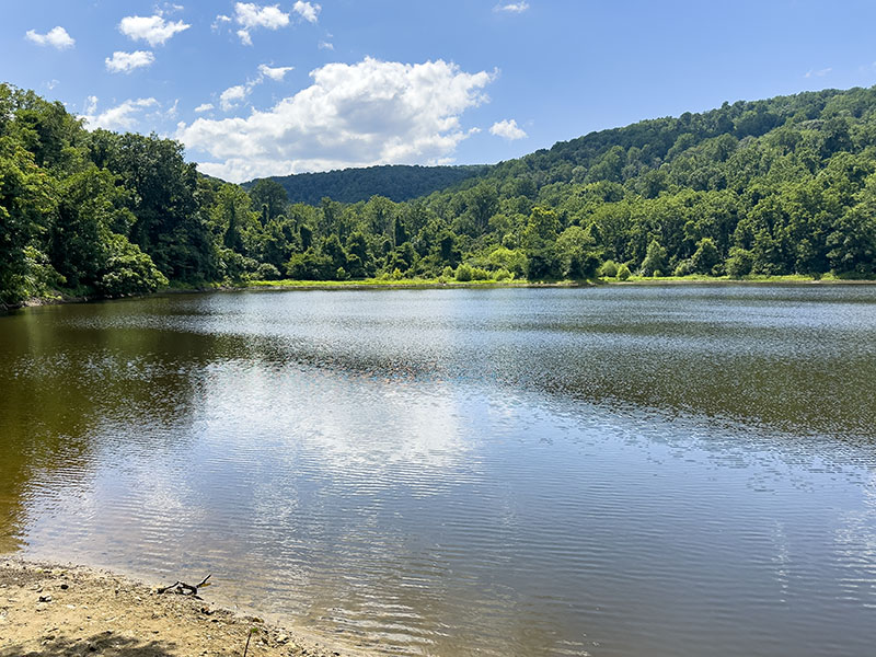 G. Richard Thompson Wildlife Management Area | Virginia DWR